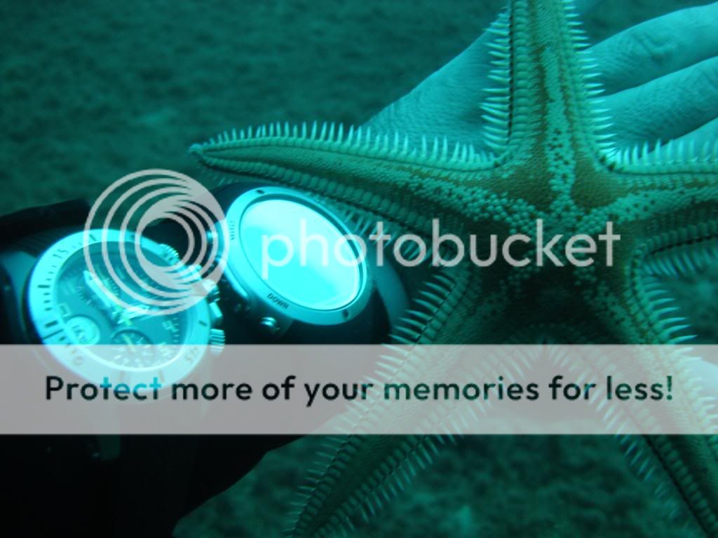 Trieste diving pictures | WatchUSeek Watch Forums