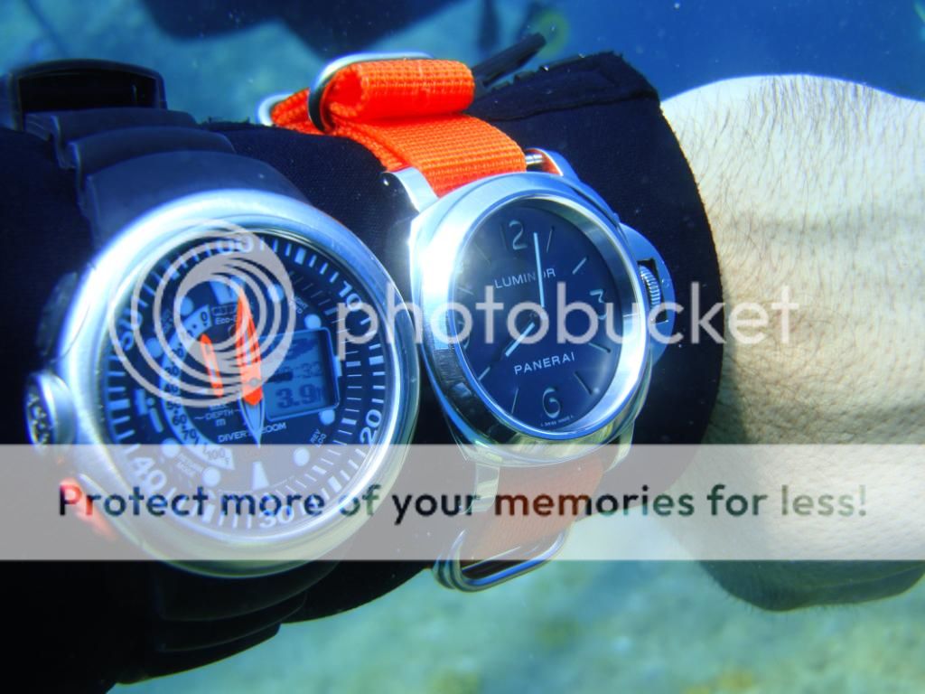 PAM 112 diving | WatchUSeek Watch Forums