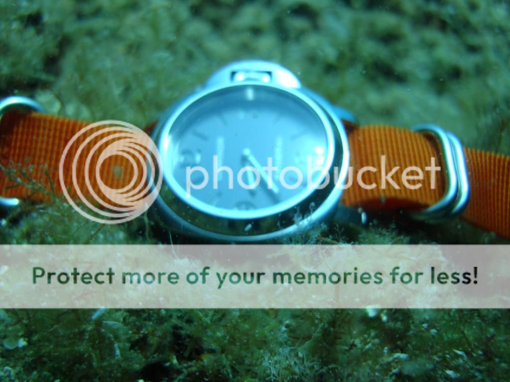 PAM 112 diving | WatchUSeek Watch Forums